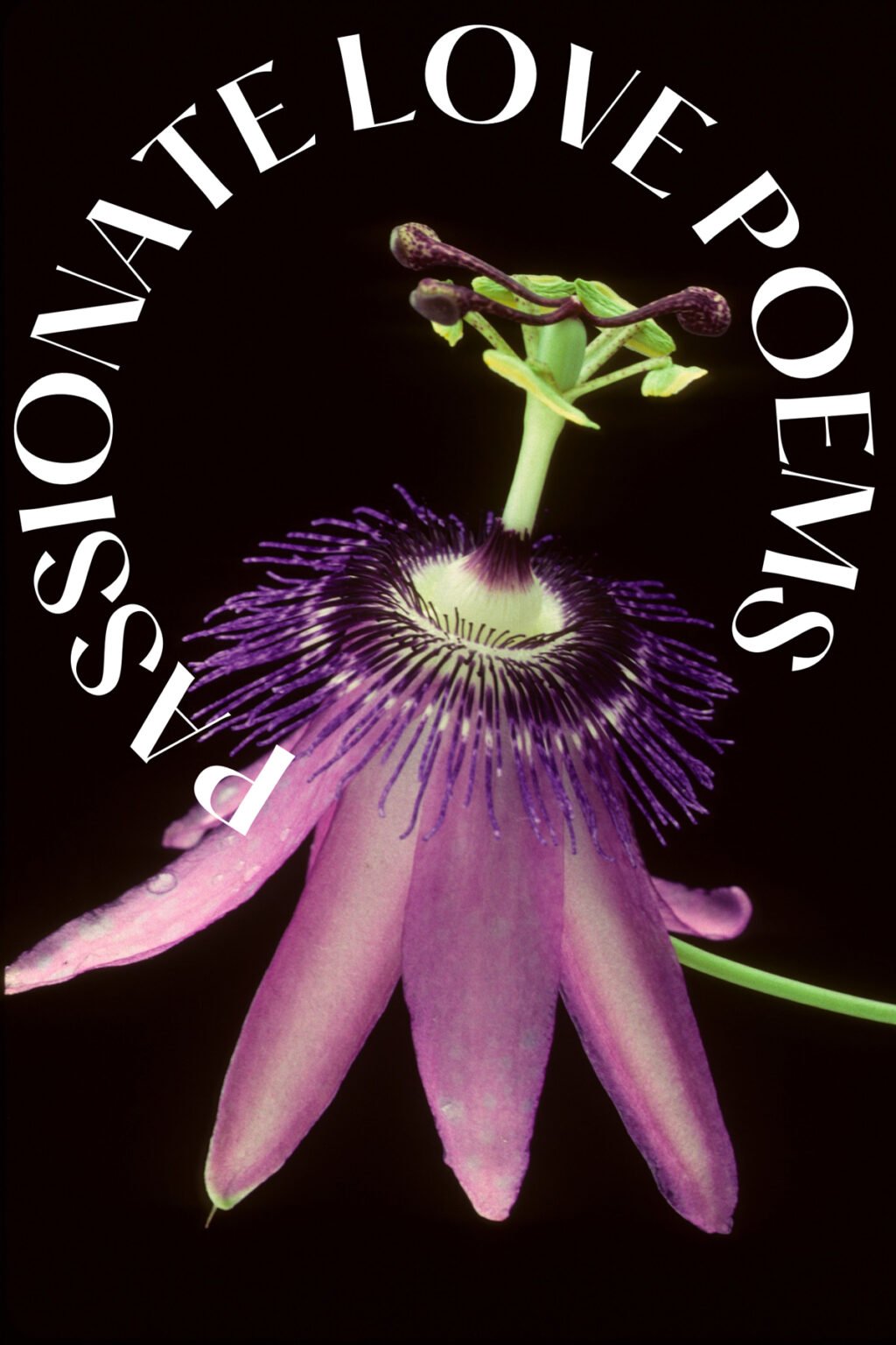 30 Passionate Poems About Love - Aestheticpoems