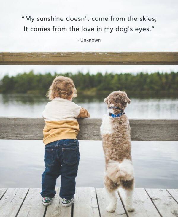 39+ Thoughtful Dog Poems - Aestheticpoems