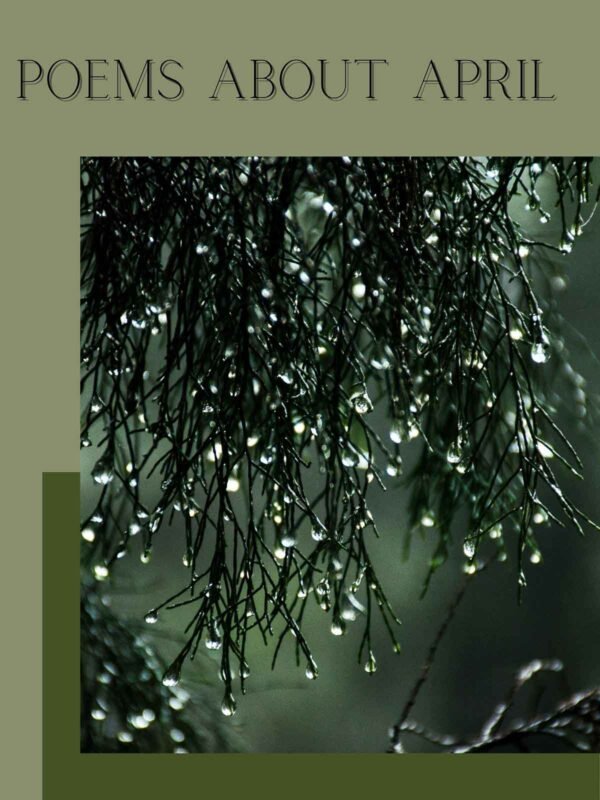 19 Incredible April Poems - Aestheticpoems