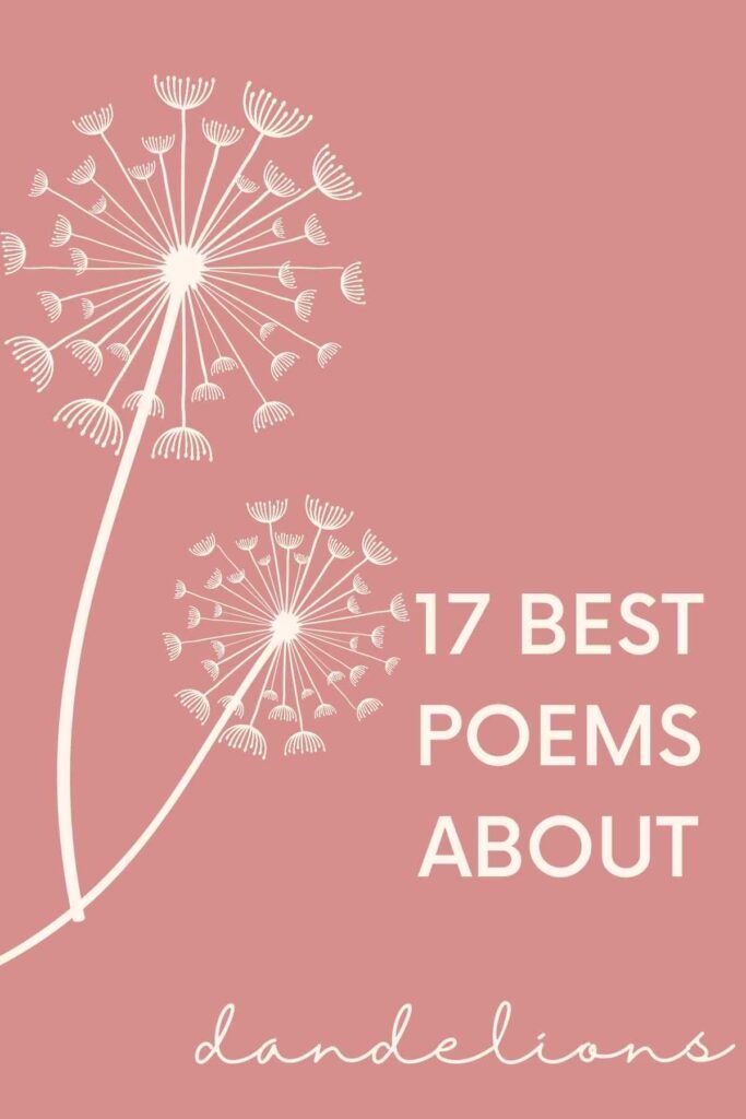 17+ Best Poems About Dandelions - Aestheticpoems