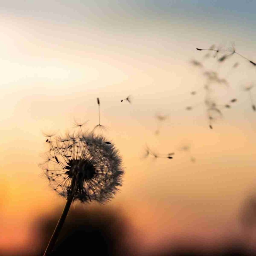 11 Fun Video Game Poems - Aestheticpoems