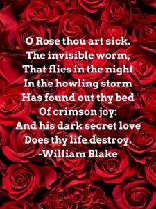 23 Red Poem Inspiration with Color & Roses - Aestheticpoems