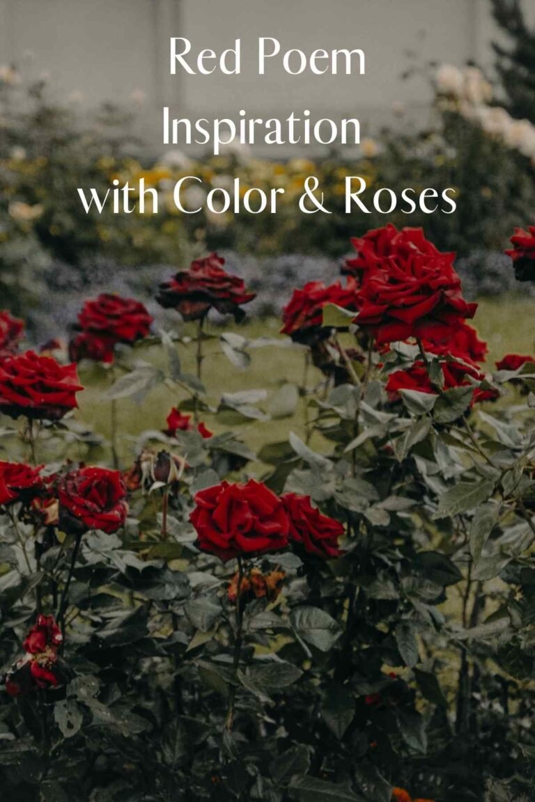 23 Red Poem Inspiration with Color & Roses - Aestheticpoems