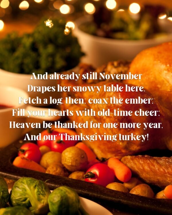 21 Funny Turkey Poem Ideas To Share On Turkey Day - Aestheticpoems