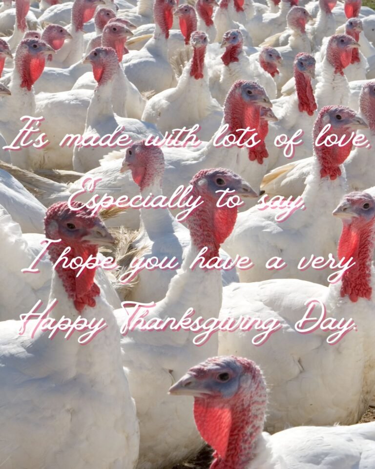 21 Funny Turkey Poem Ideas To Share On Turkey Day - Aestheticpoems