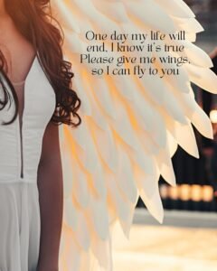 23 Poems About Flying When You Want To Get Away - Aestheticpoems