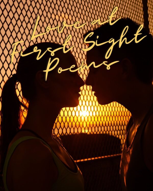 15 Love At First Sight Poems - Aestheticpoems