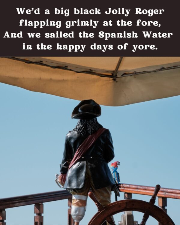 9 Pirate Poems To Read Before You Walk The Plank - Aestheticpoems