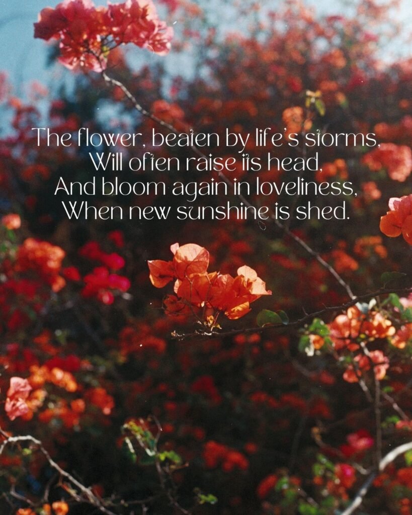 Sunshine Poem Inspiration: 29 Bright Selections - Aestheticpoems