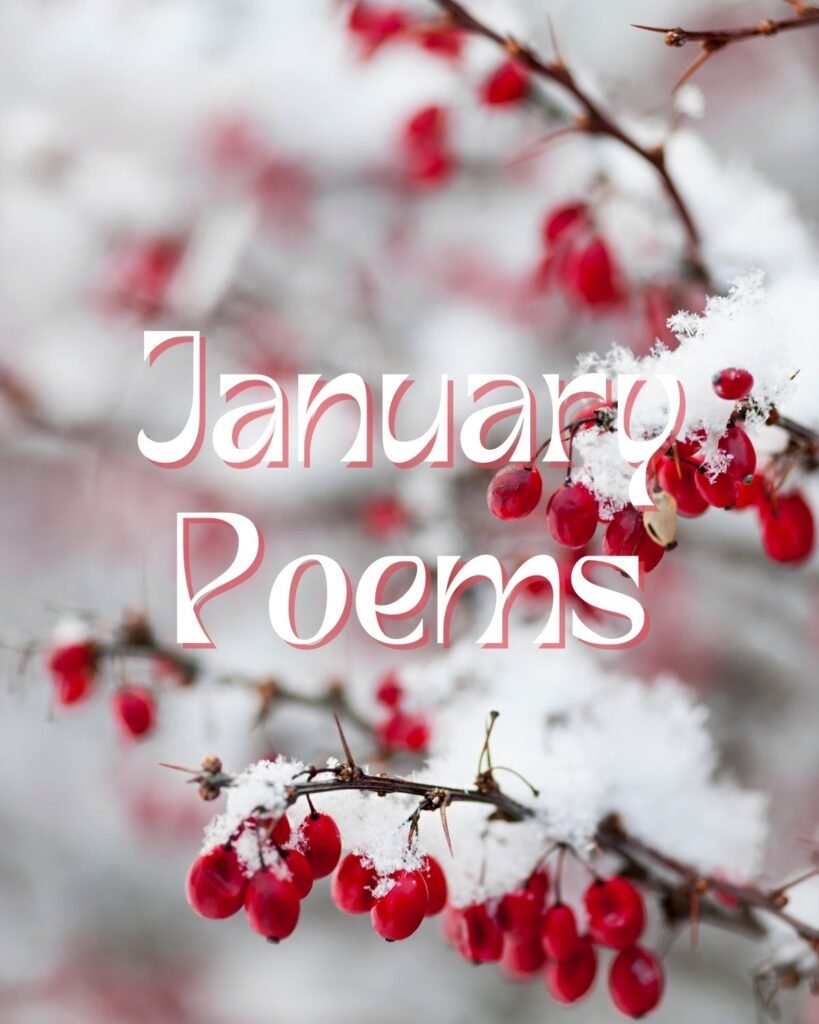 9 January Poems To Start Fresh - Aestheticpoems