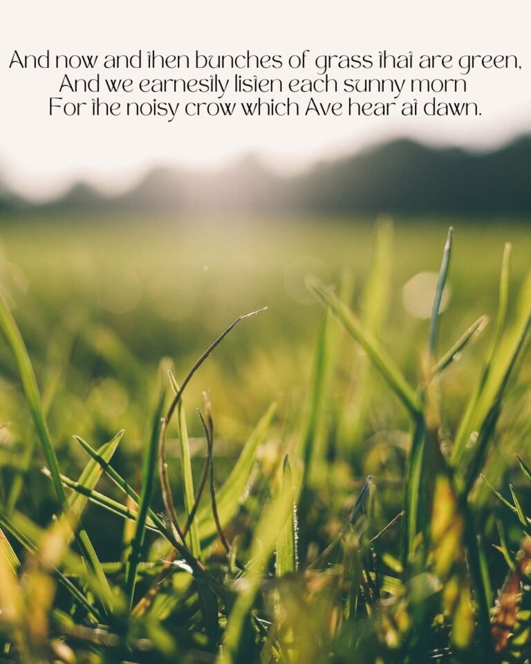 7 March Poems To Welcome A New Season - Aestheticpoems