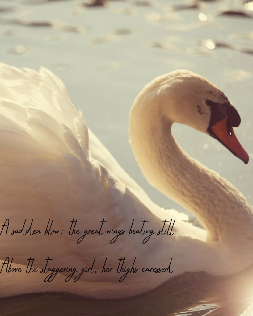 43 Animal Poems For The Lover Of All Animals - Aestheticpoems