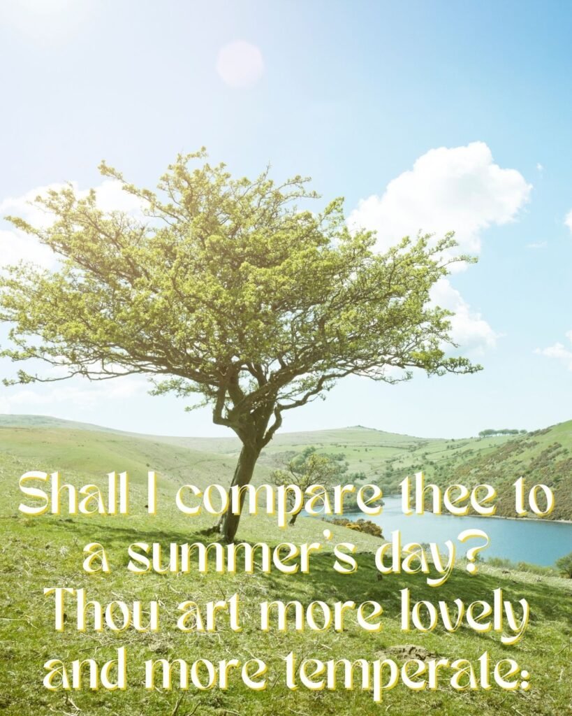 47 Iconic Famous Poems - Aestheticpoems