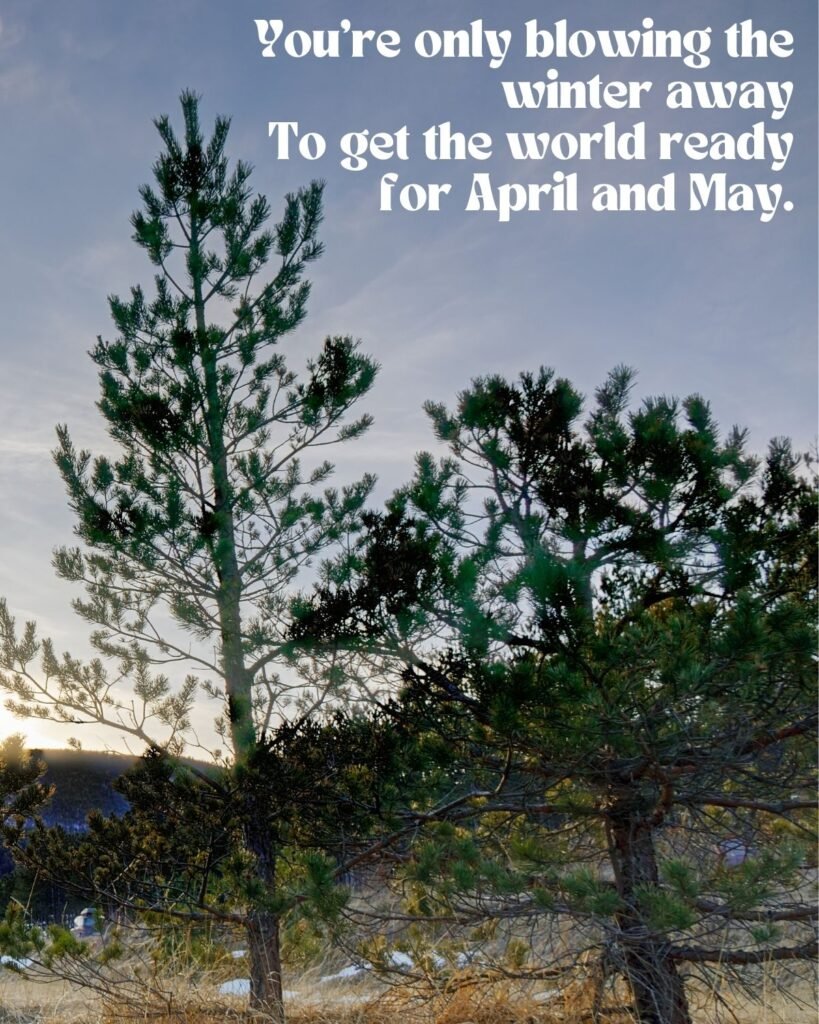 7 March Poems To Welcome A New Season - Aestheticpoems