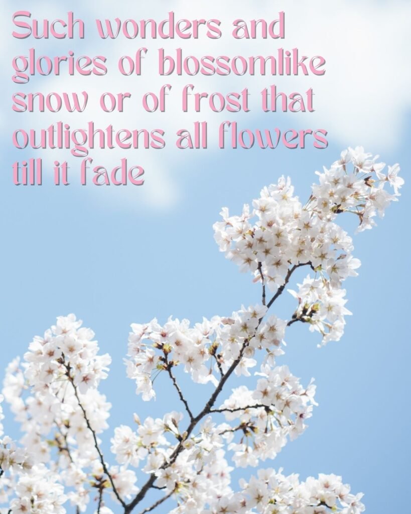 7 March Poems To Welcome A New Season - Aestheticpoems