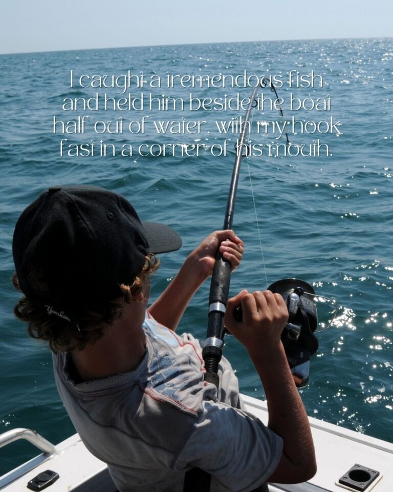 43 Animal Poems For The Lover Of All Animals - Aestheticpoems