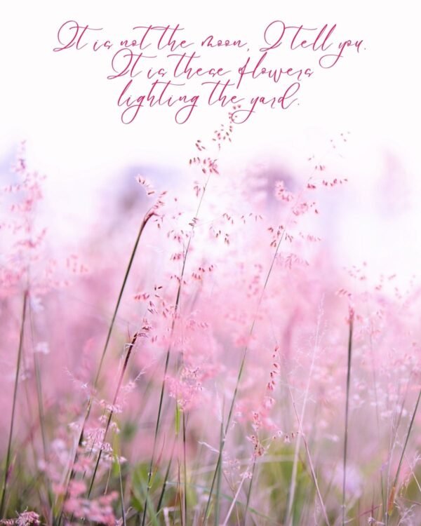 47 Iconic Famous Poems - Aestheticpoems