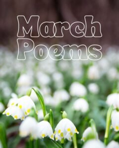 7 March Poems To Welcome A New Season - Aestheticpoems