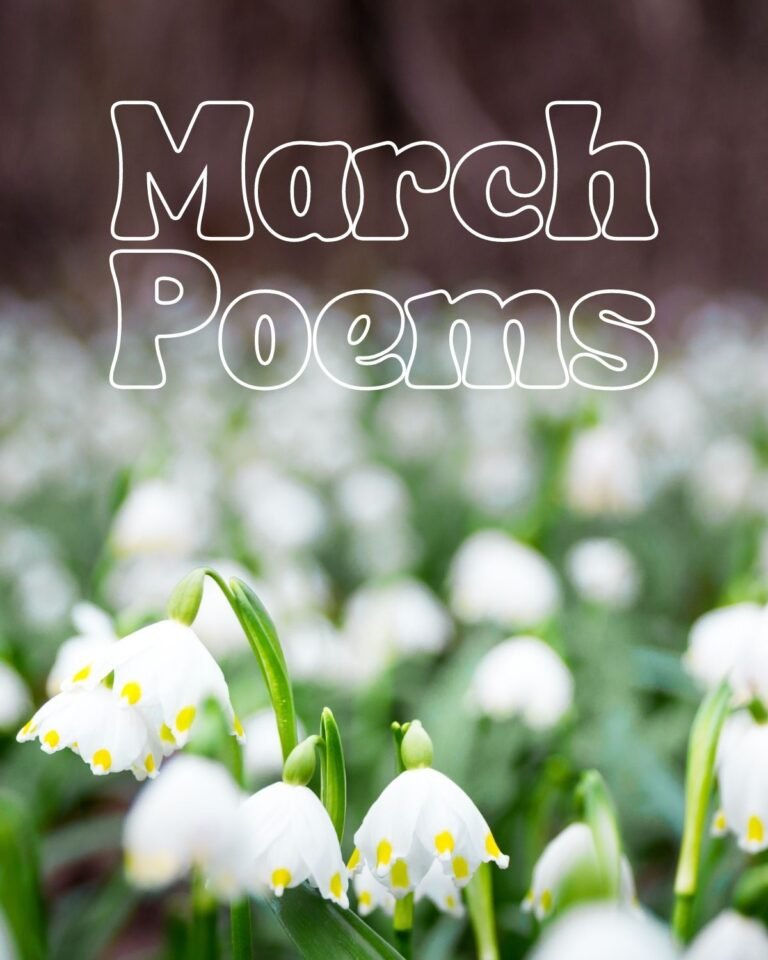 7 March Poems To Welcome A New Season - Aestheticpoems