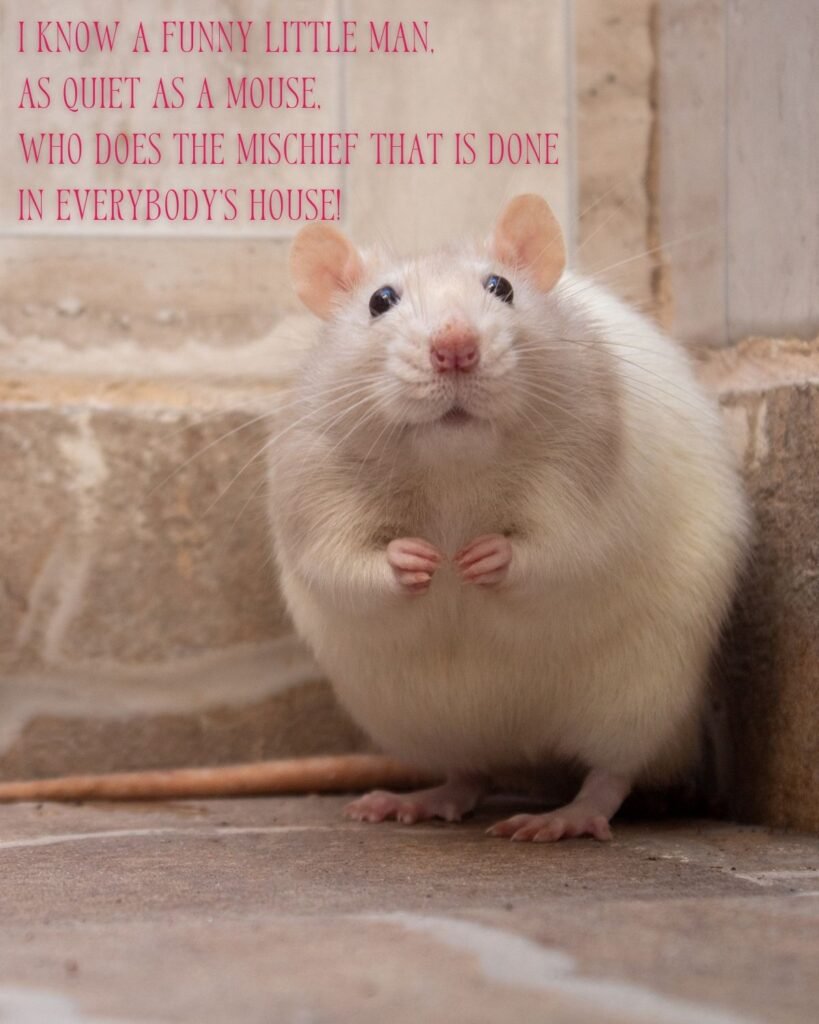 57+ Funny Poems To Lighten The Mood - Aestheticpoems