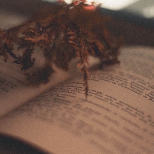 47 Iconic Famous Poems - Aestheticpoems