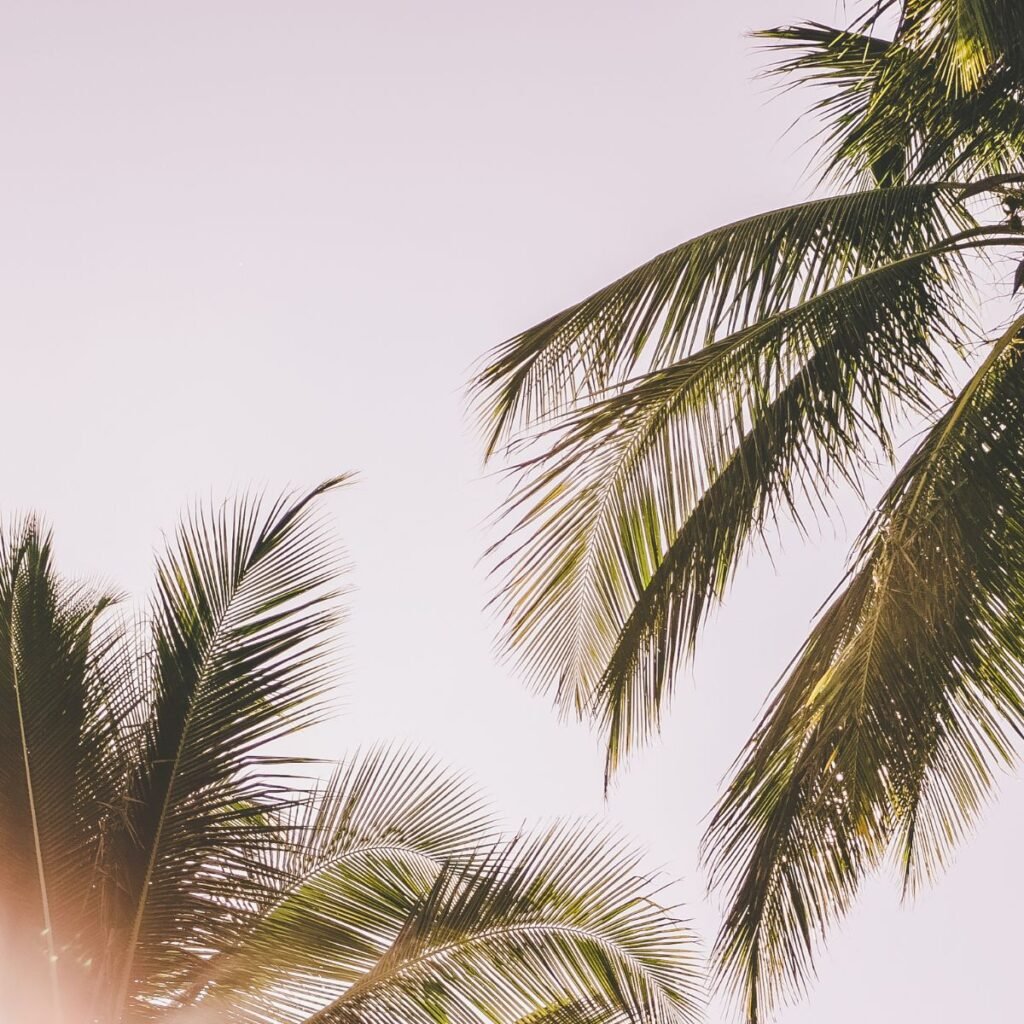 21 Beautifully Famous Summer Poems - Aestheticpoems