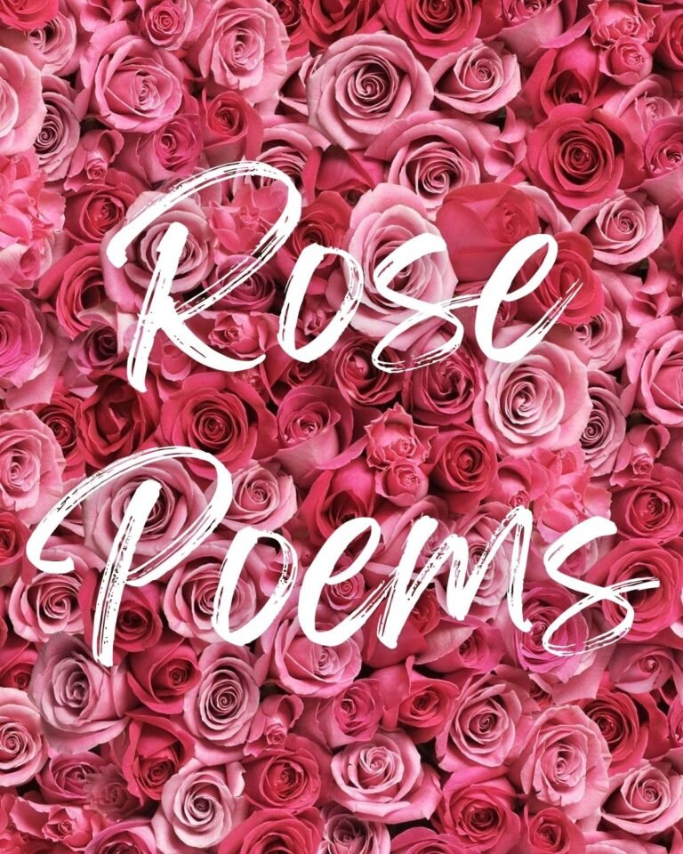 29 Rose Poems For The Romantic - Aestheticpoems