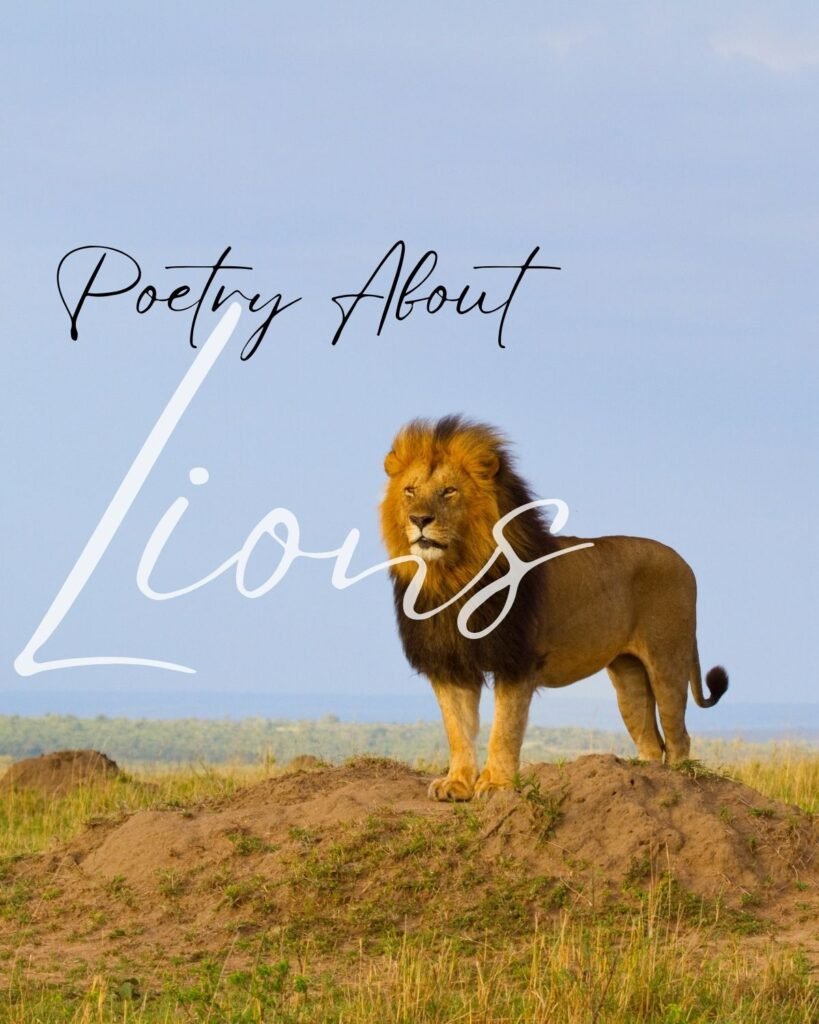 7 Roaring Examples Of Poetry About Lions - Aestheticpoems